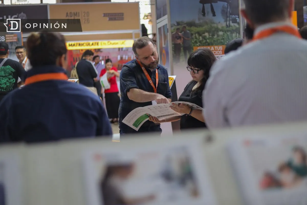 MENOS AÑOS, MÁS DUDAS: POR QUÉ ACORTAR LAS CARRERAS UNIVERSITARIAS NO ...